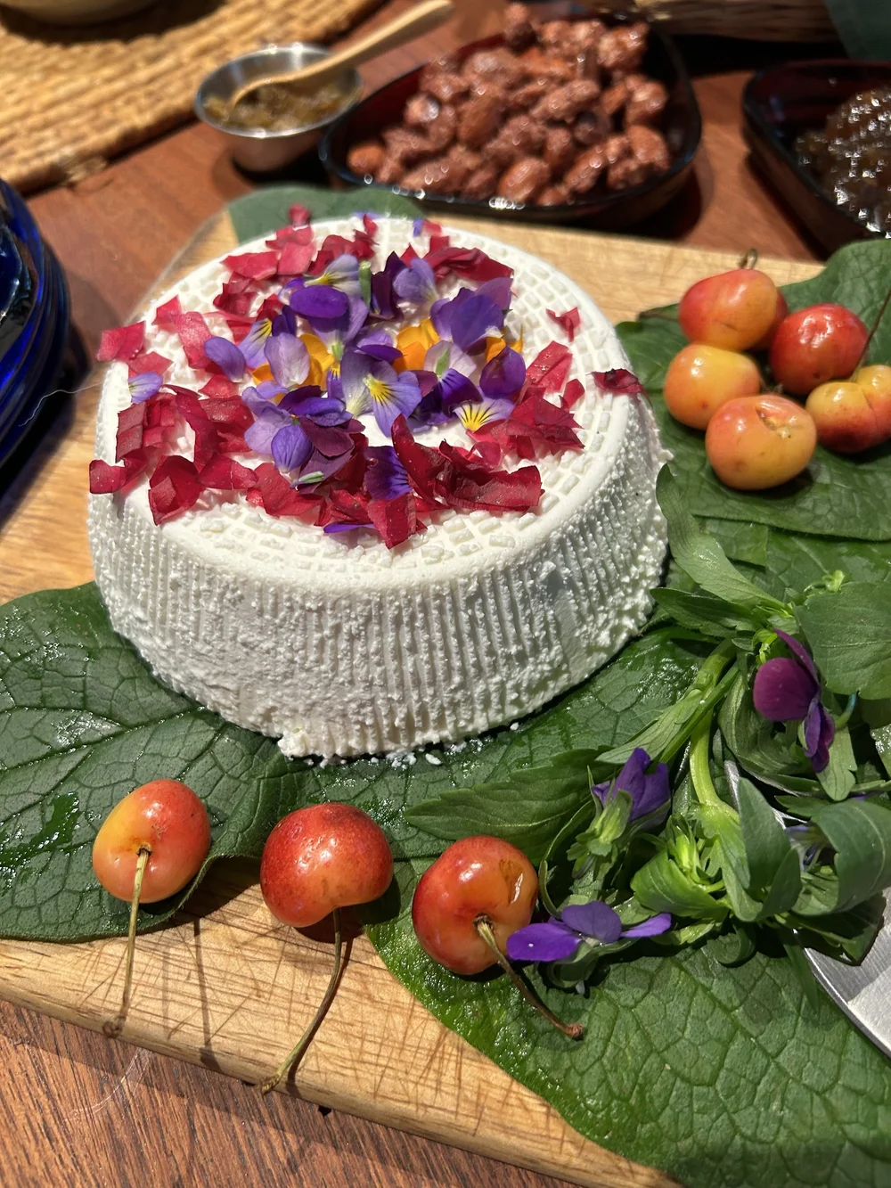 blog — sewandsowlife