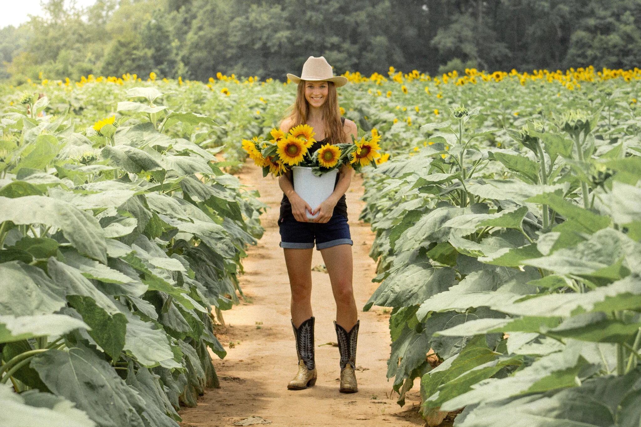 Visit | Alabama Sunflower Field — The Sunflower Field