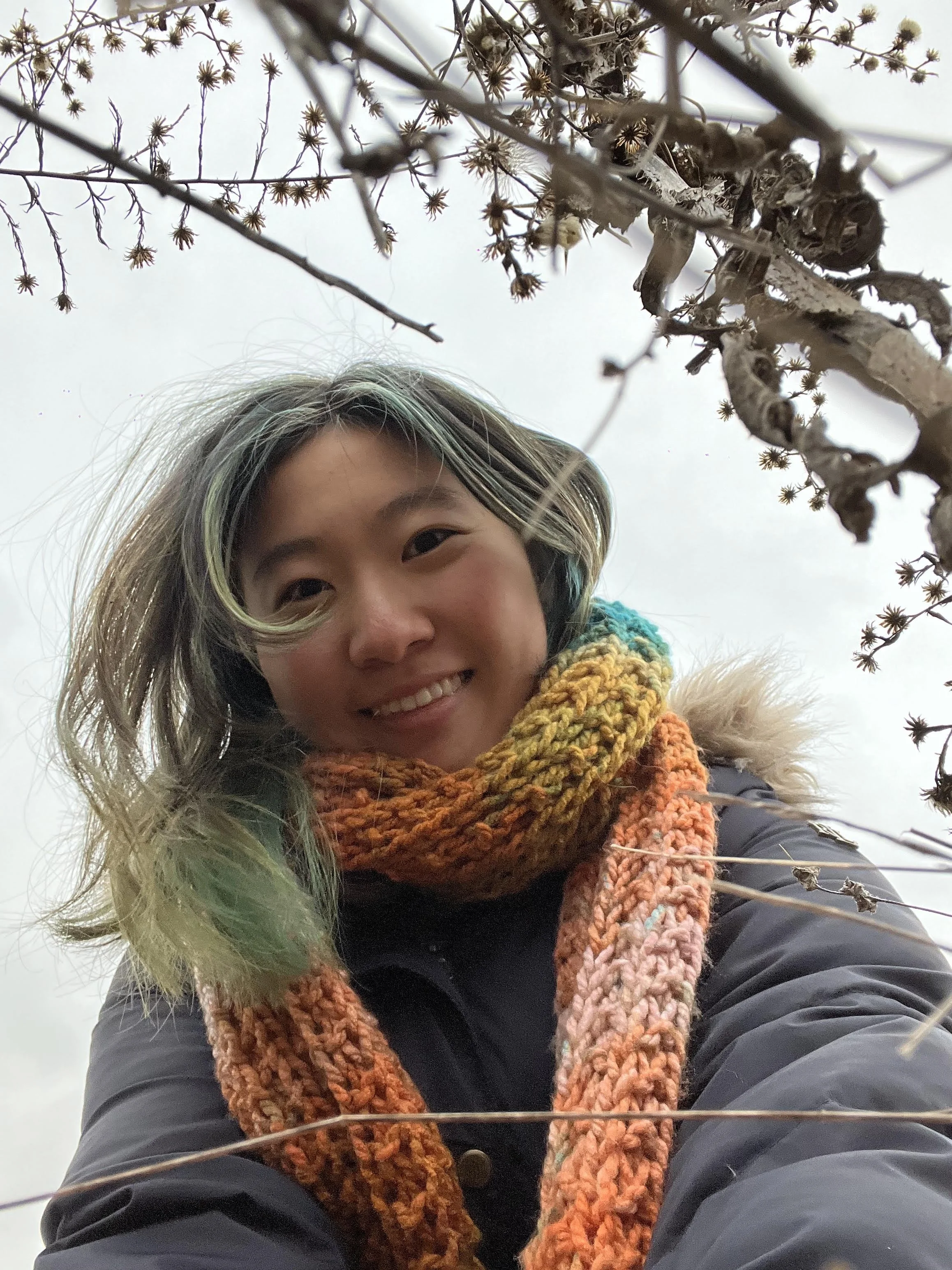 Board Members — YURA