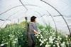 About Sarah Tedford, Denver Colorado Floral Designer — Ladybird Poppy ...