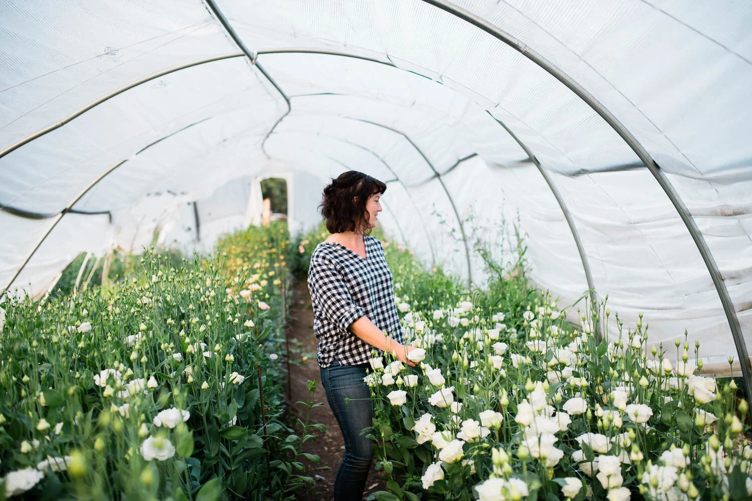 About Sarah Tedford, Denver Colorado Floral Designer — Ladybird Poppy ...