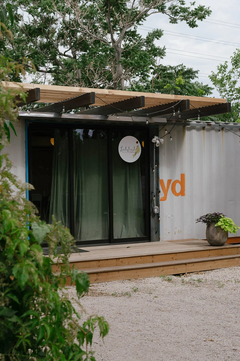 About Sarah Tedford, Denver Colorado Floral Designer — Ladybird Poppy ...