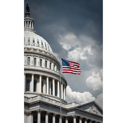 Constituent Services — Chesapeake Press: we publish civics ed ...