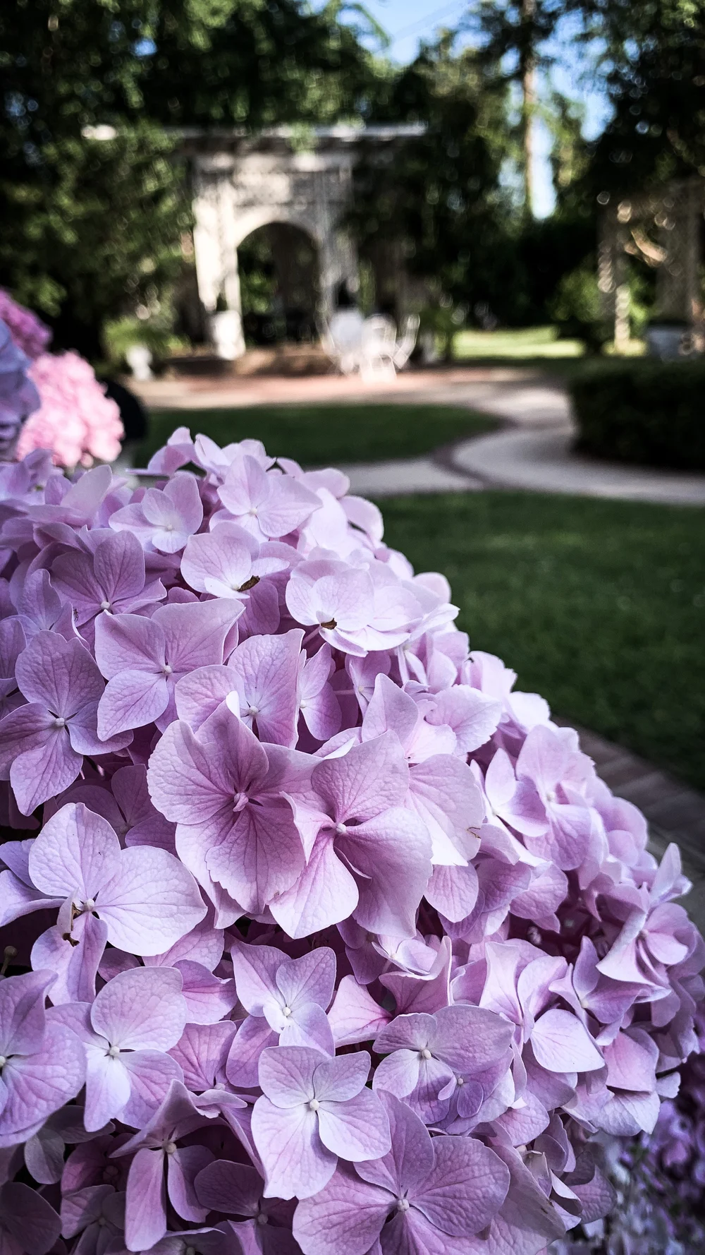 Live — Layton Castle