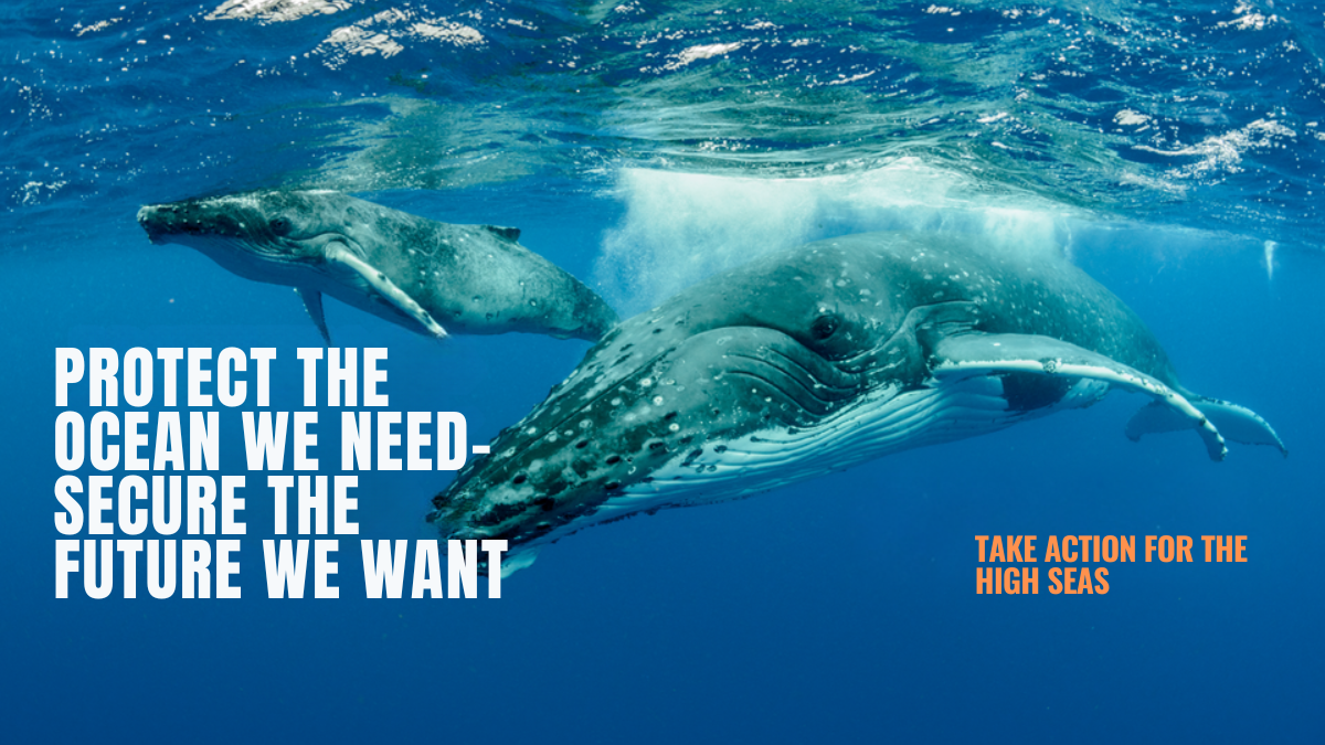 Ajay Sawant and Ishwarya K to host a Session on the High Seas Treaty (BBNJ) at LCOY India 2024 ...