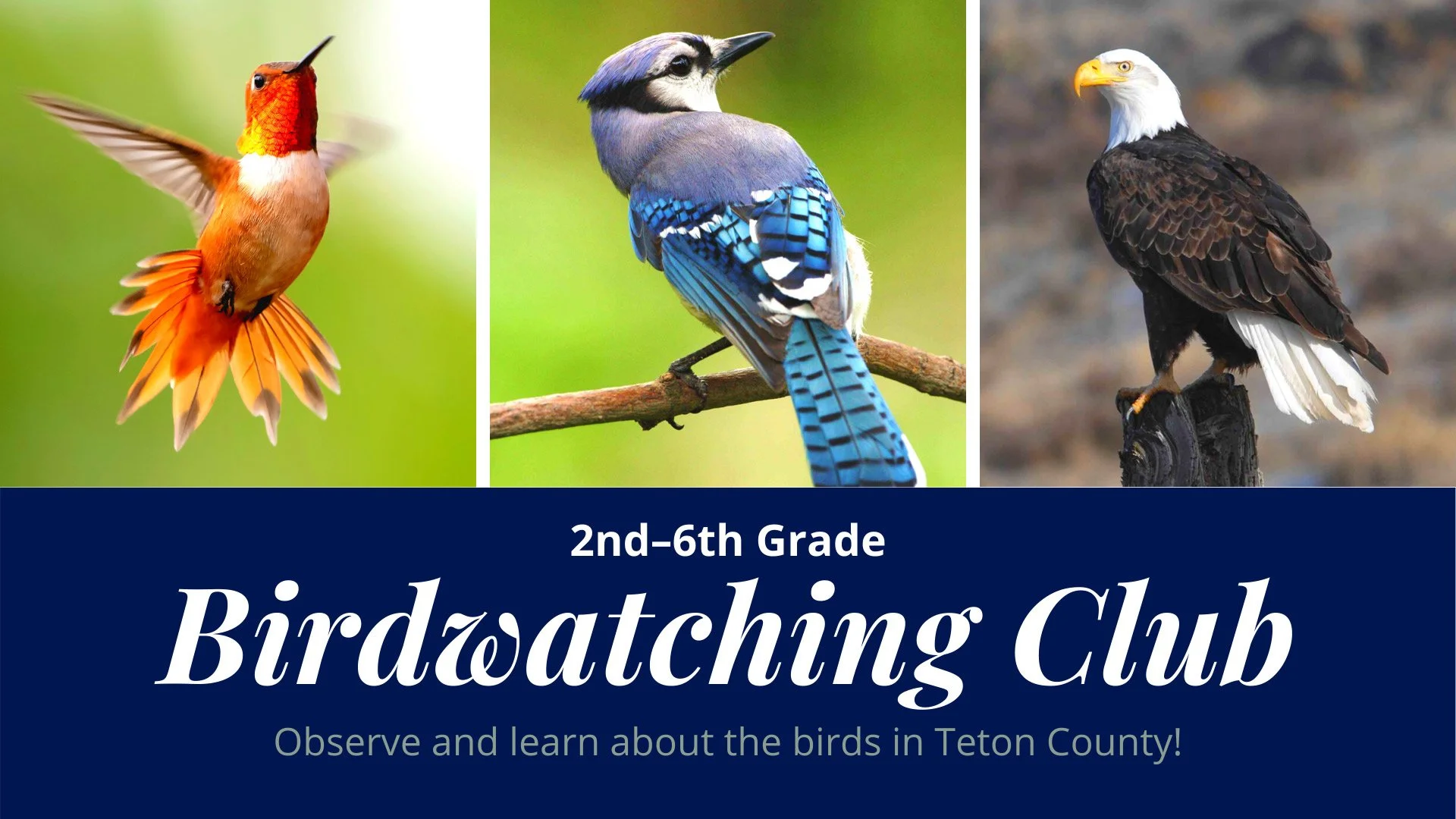 Graphic Design — BRITTANY SEMCO PHOTOGRAPHY