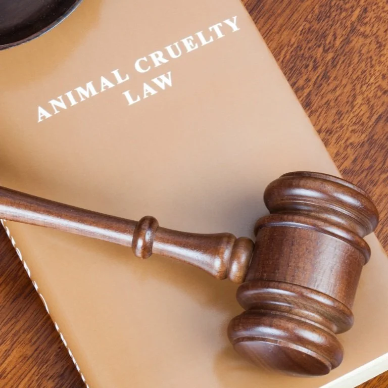 Companion Animal Control