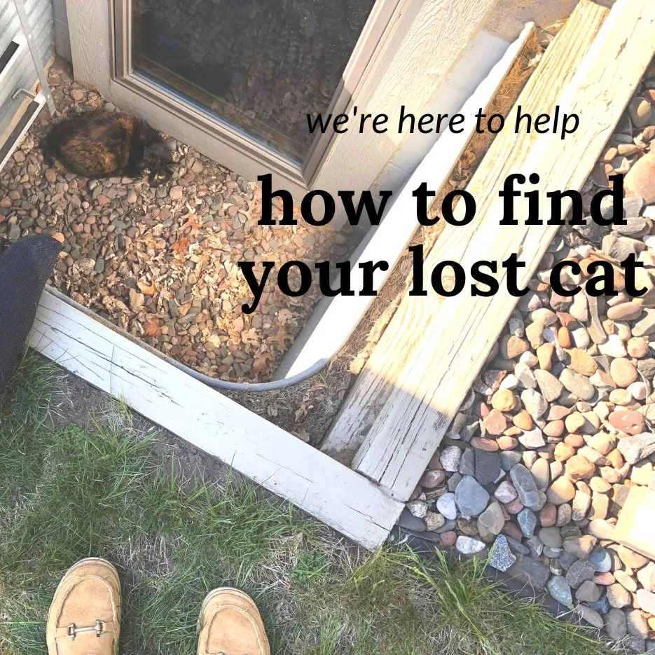 Companion Animal Control