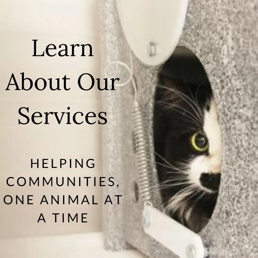 Companion Animal Control