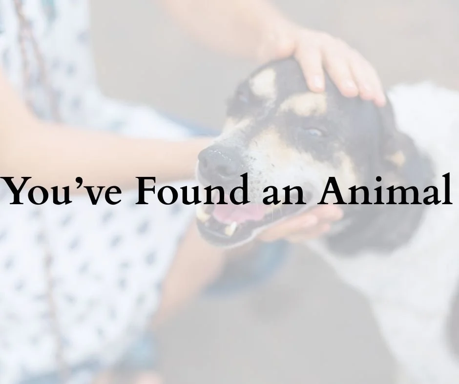 Companion Animal Control