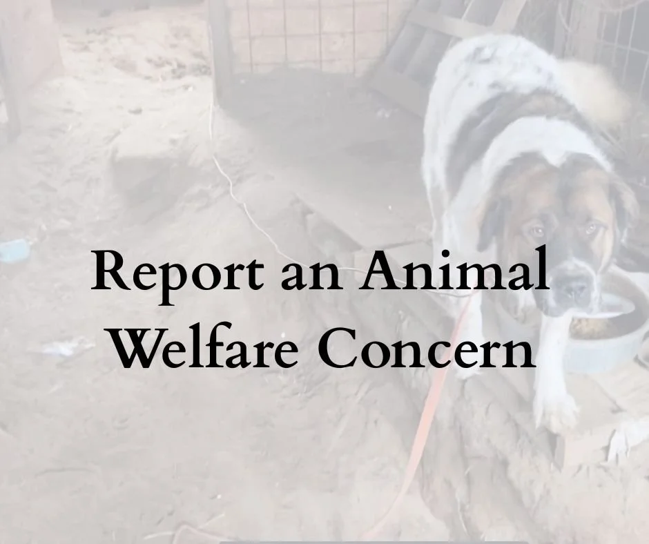 Companion Animal Control