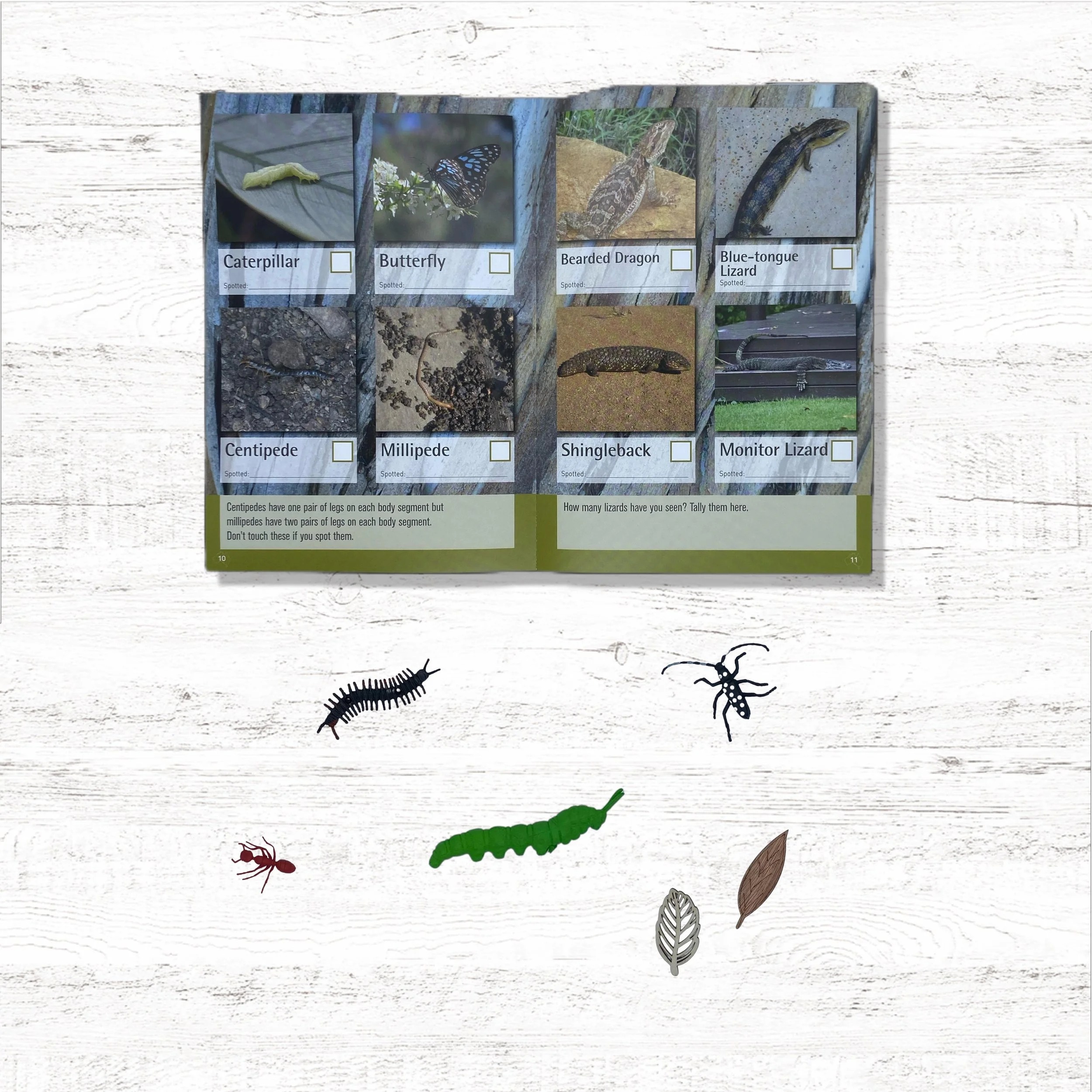 Spotto CLASSIC — Spotto Books