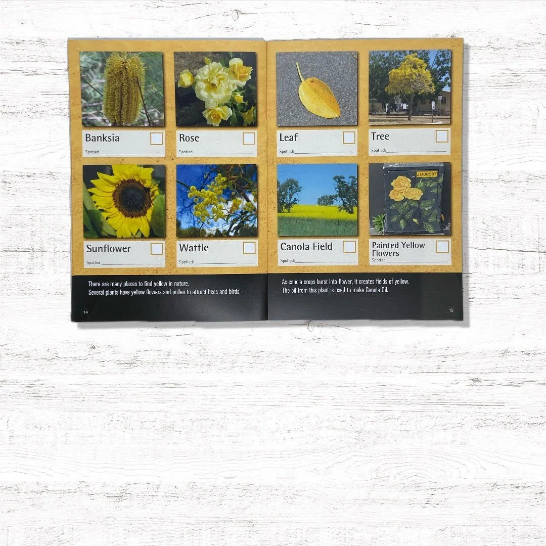 Spotto CLASSIC — Spotto Books