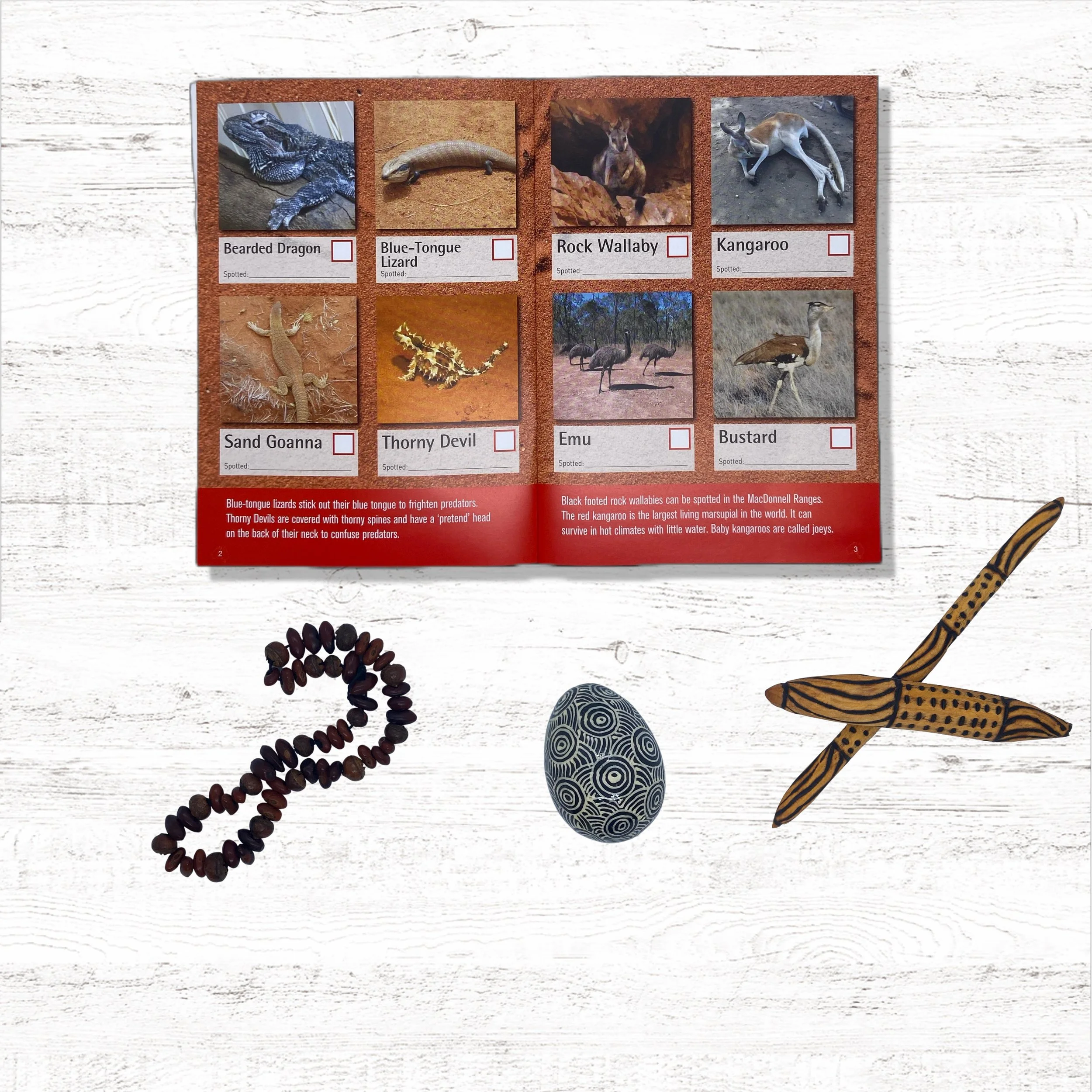 Spotto QUEENSLAND — Road Trip Games and Car Activities – Spotto Books