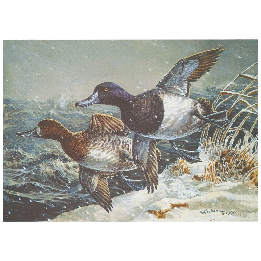 1982 North Dakota Duck Stamp Print — The Finishing Touch
