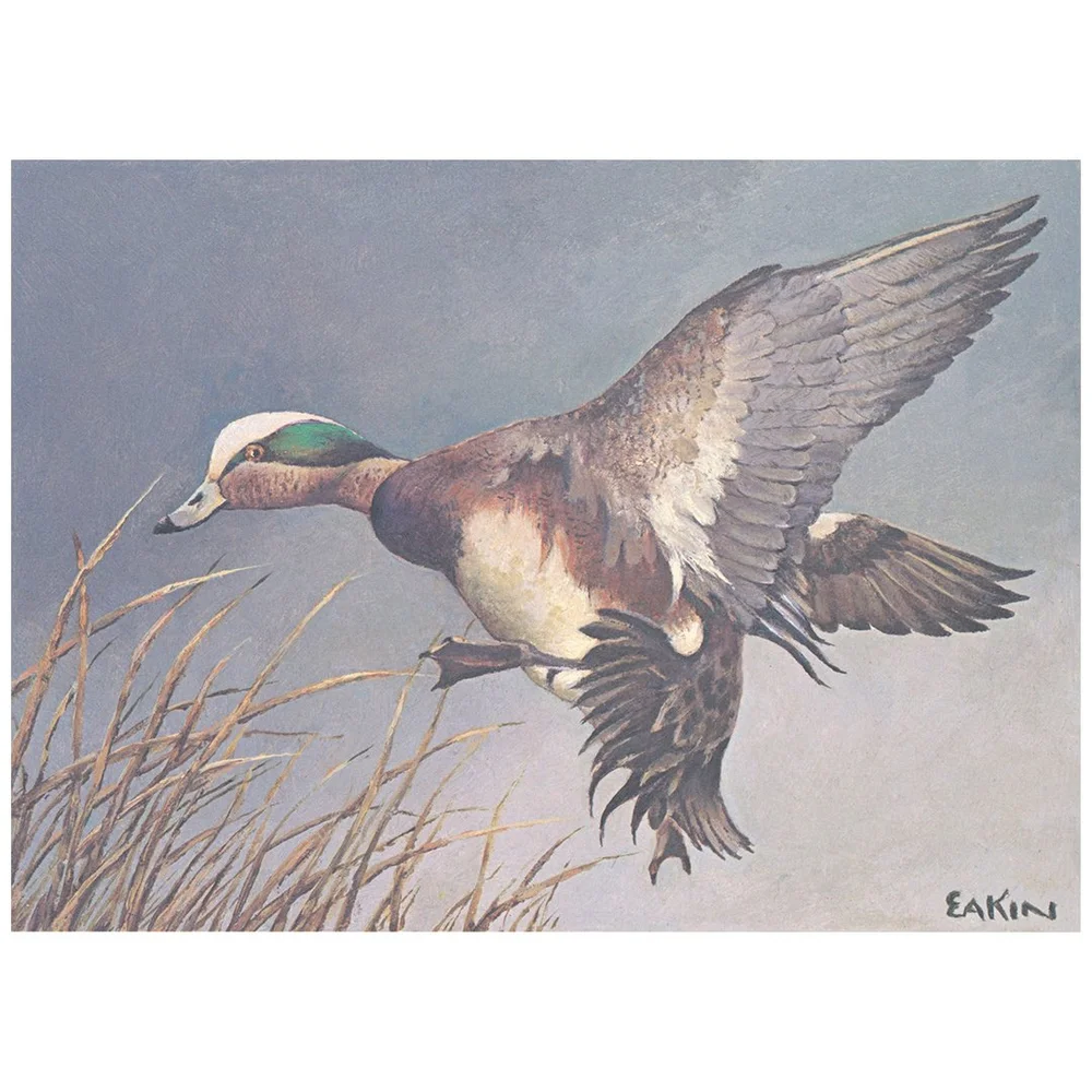1988 Virginia Duck Stamp Print — The Finishing Touch