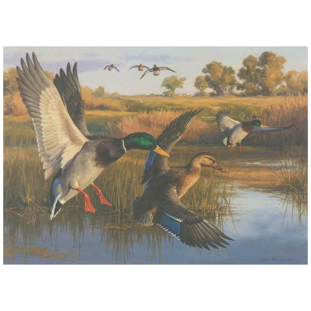 1988 Virginia Duck Stamp Print — The Finishing Touch