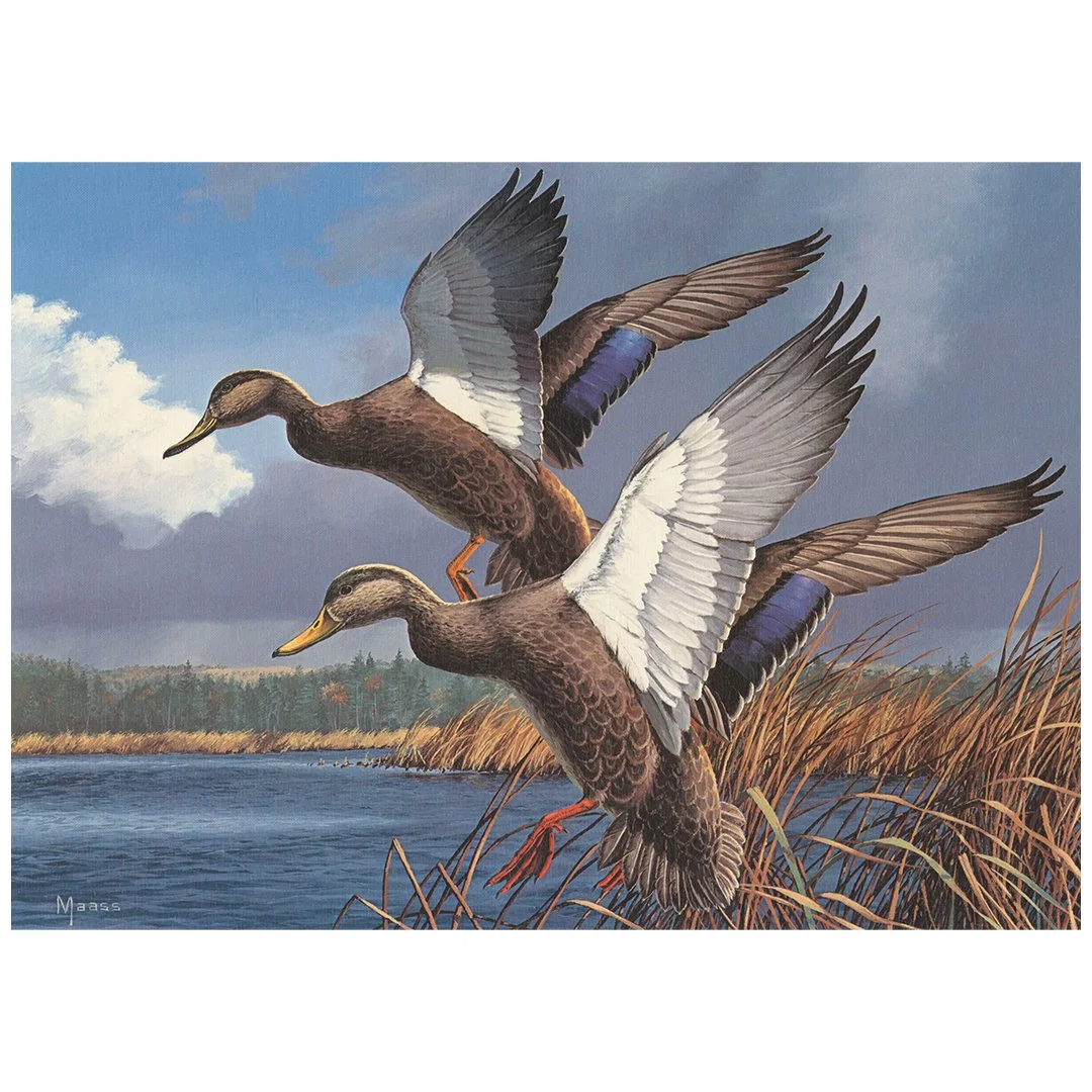 1989 Louisiana Duck Stamp Print — The Finishing Touch
