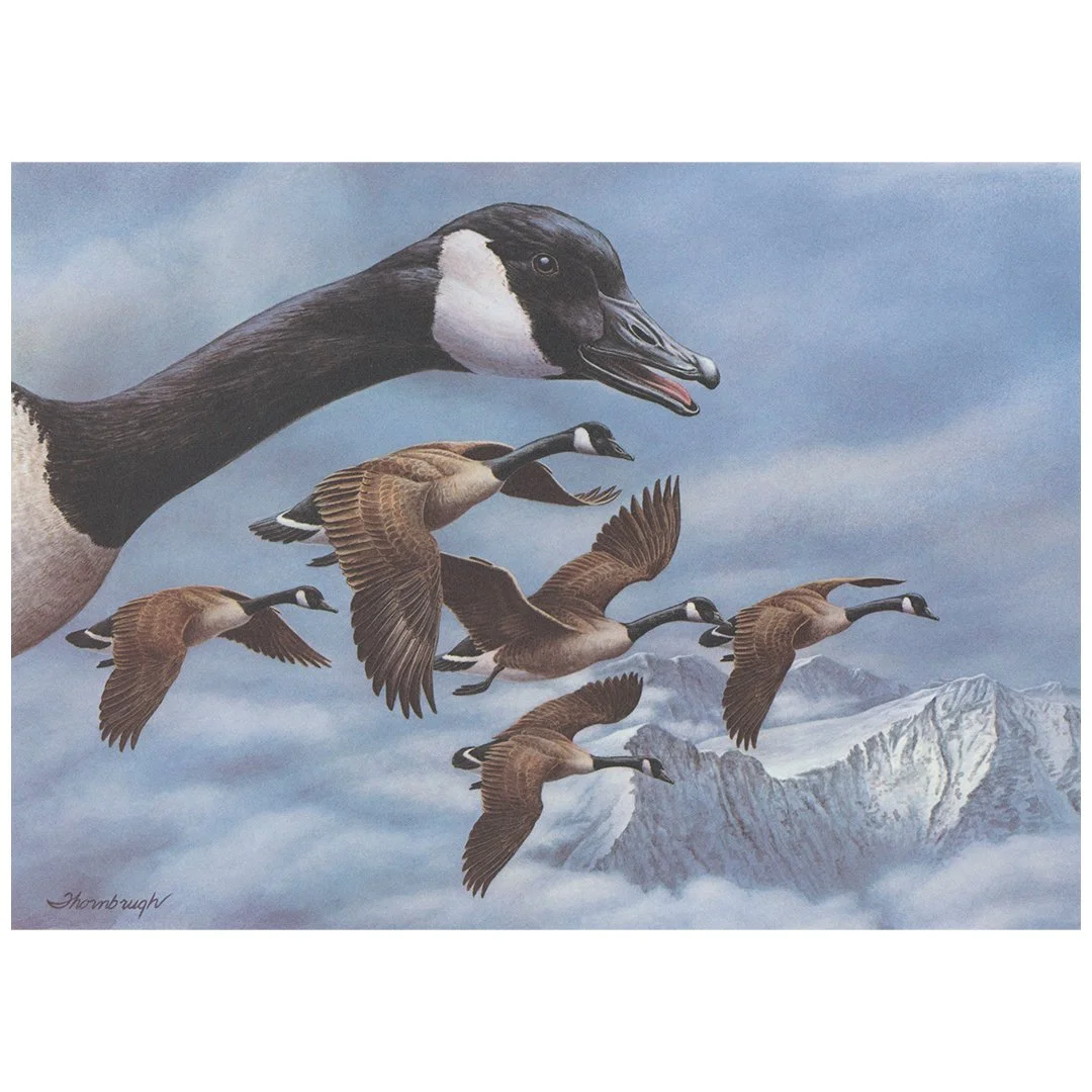 1989 Delaware Duck Stamp Print — The Finishing Touch