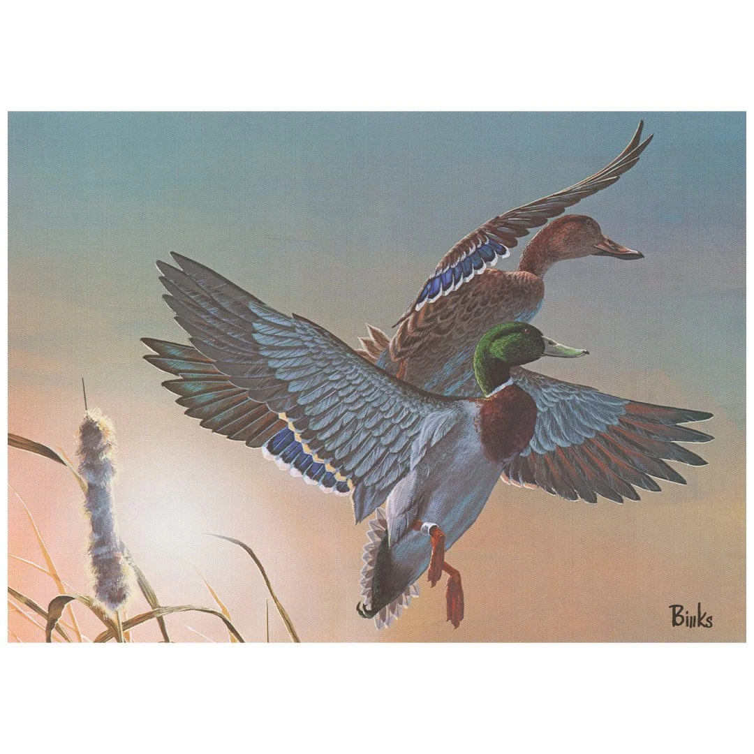 1985 Kentucky Duck Stamp Print — The Finishing Touch