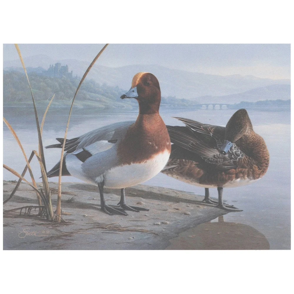 1987 Arizona Duck Stamp Print — The Finishing Touch