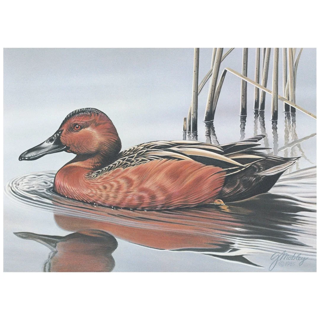 1988-1989 Federal Duck Stamp Print — The Finishing Touch
