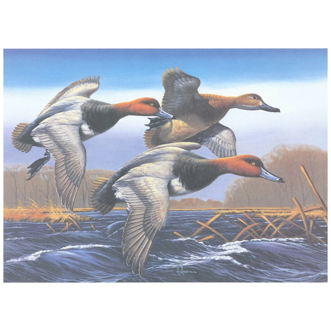 1989-1990 Federal Duck Stamp Print — The Finishing Touch