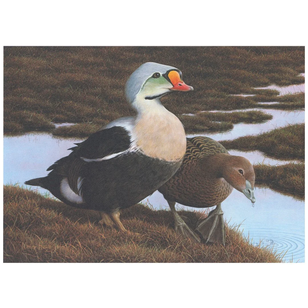 1988-1989 Federal Duck Stamp Print — The Finishing Touch