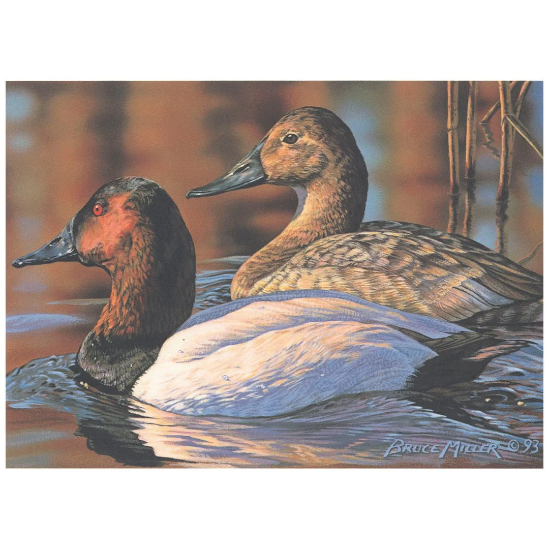 1989-1990 Federal Duck Stamp Print — The Finishing Touch