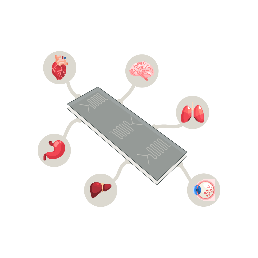 Our Point-of-Care Expertise | MicroMed Solutions