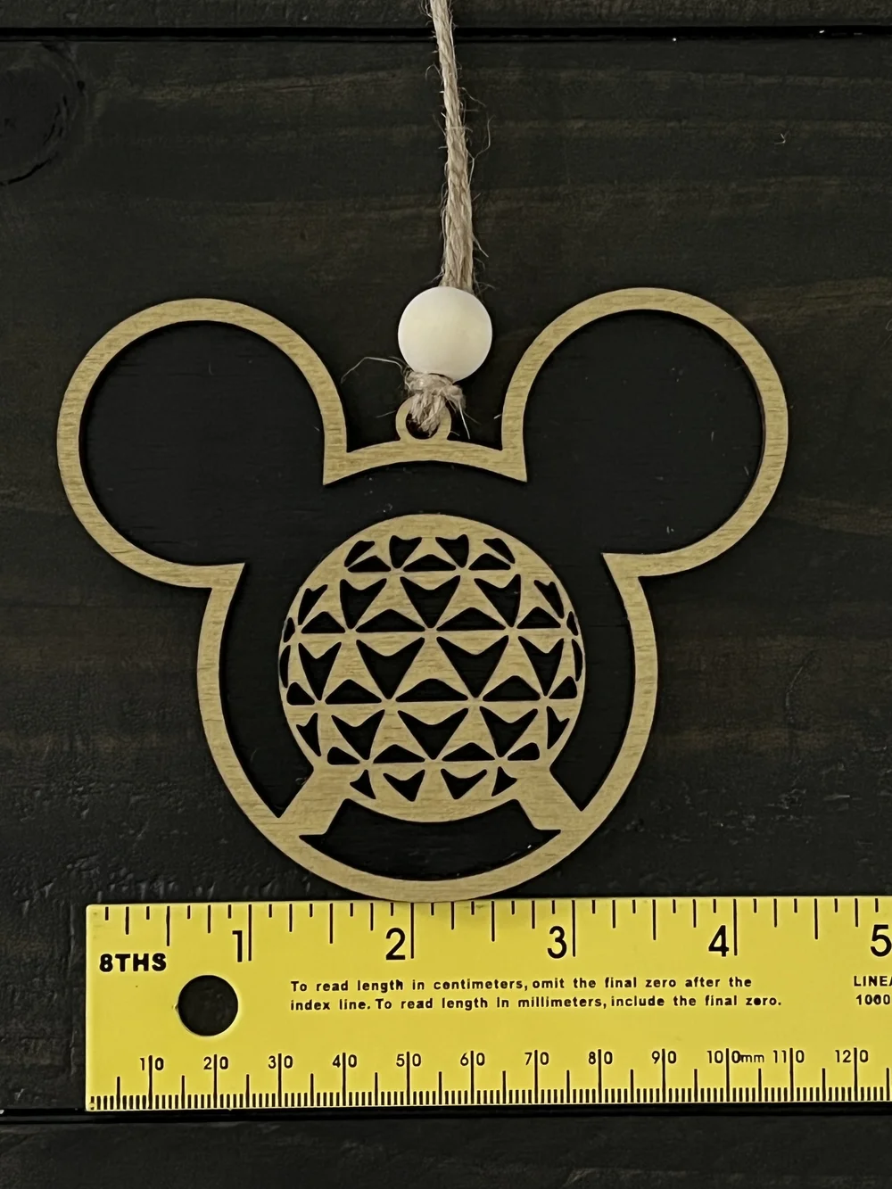 Disney Epcot Silhouette