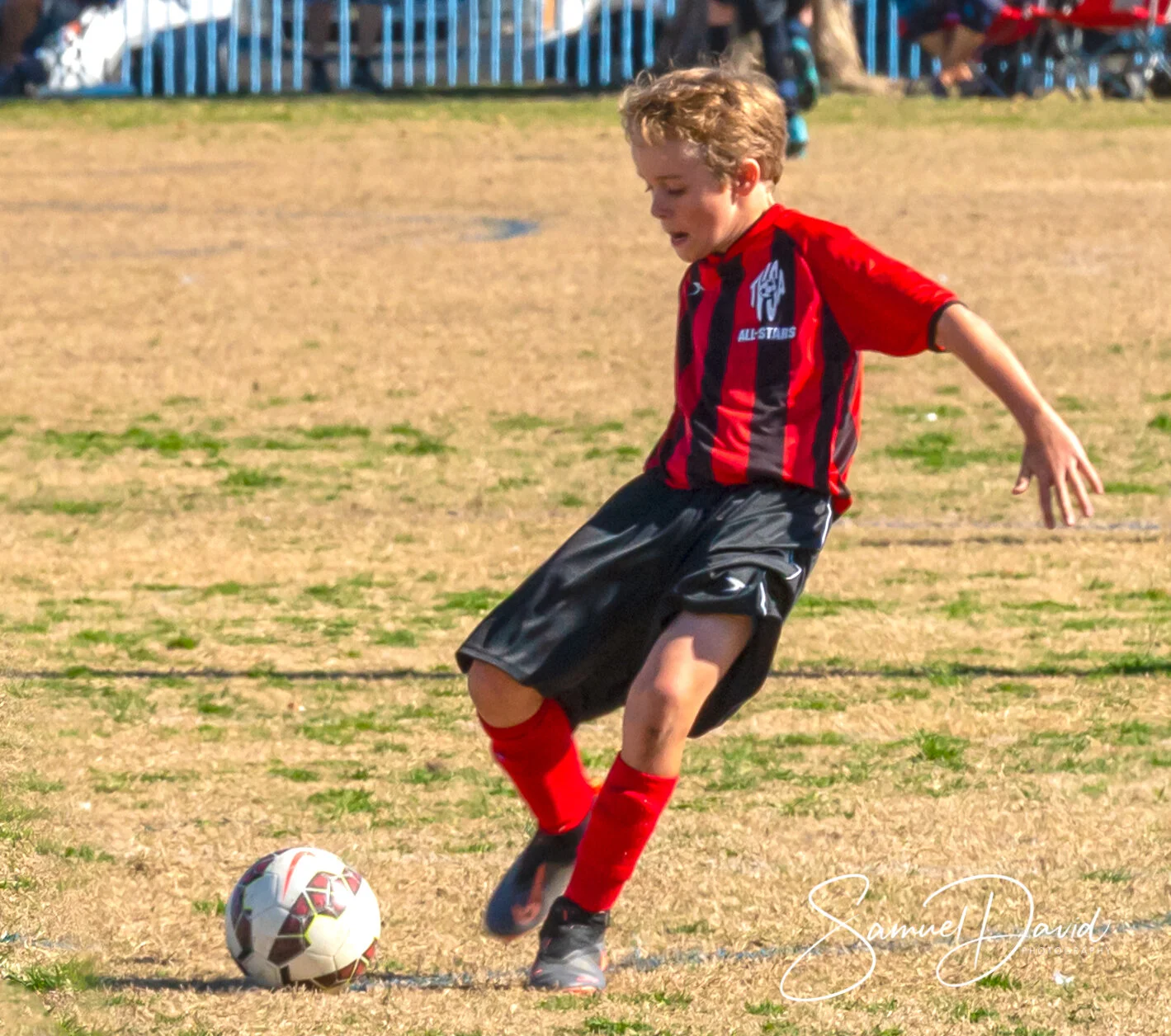 Samuel David Photography