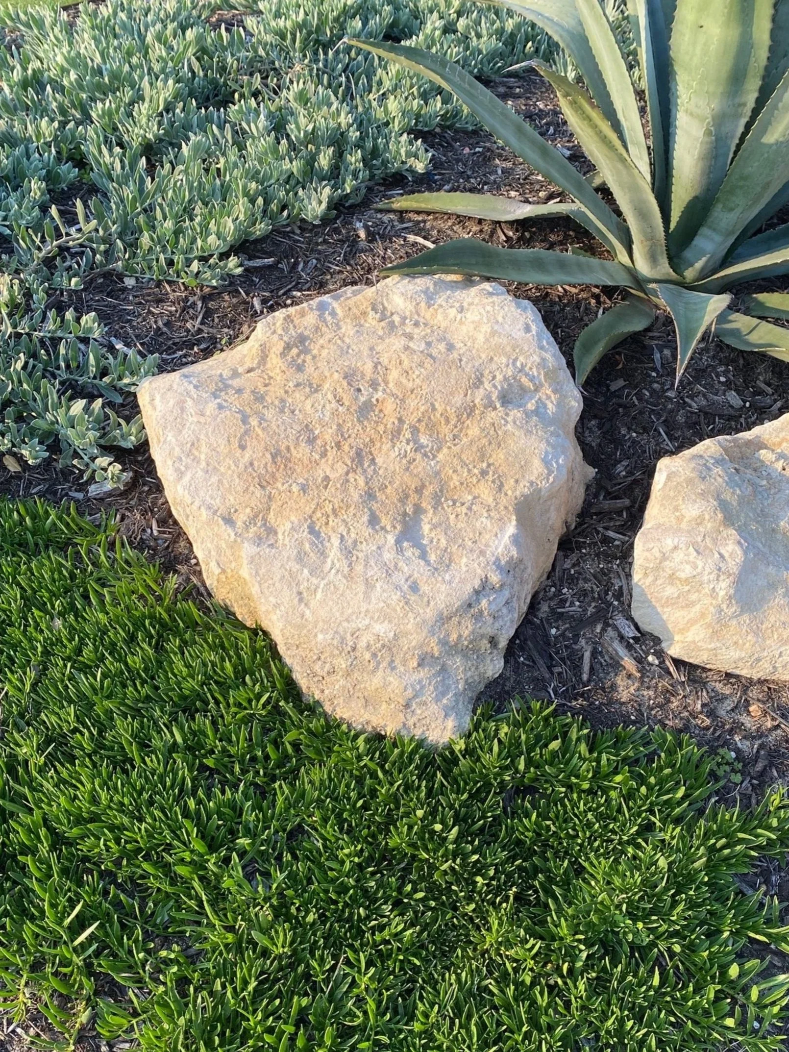 GALLERY — Bonnie Stacey Landscape Consultant