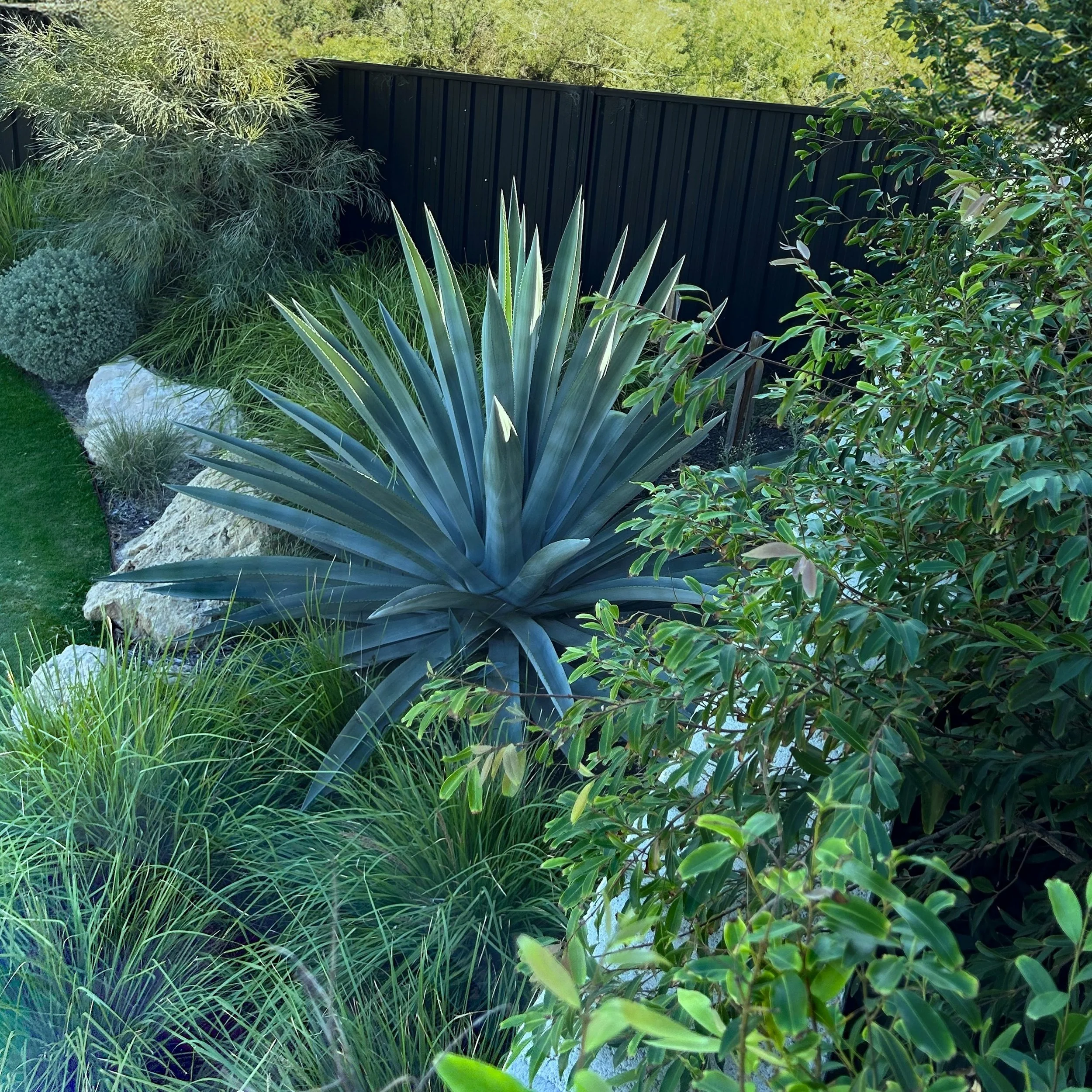 Bonnie Stacey Landscapes