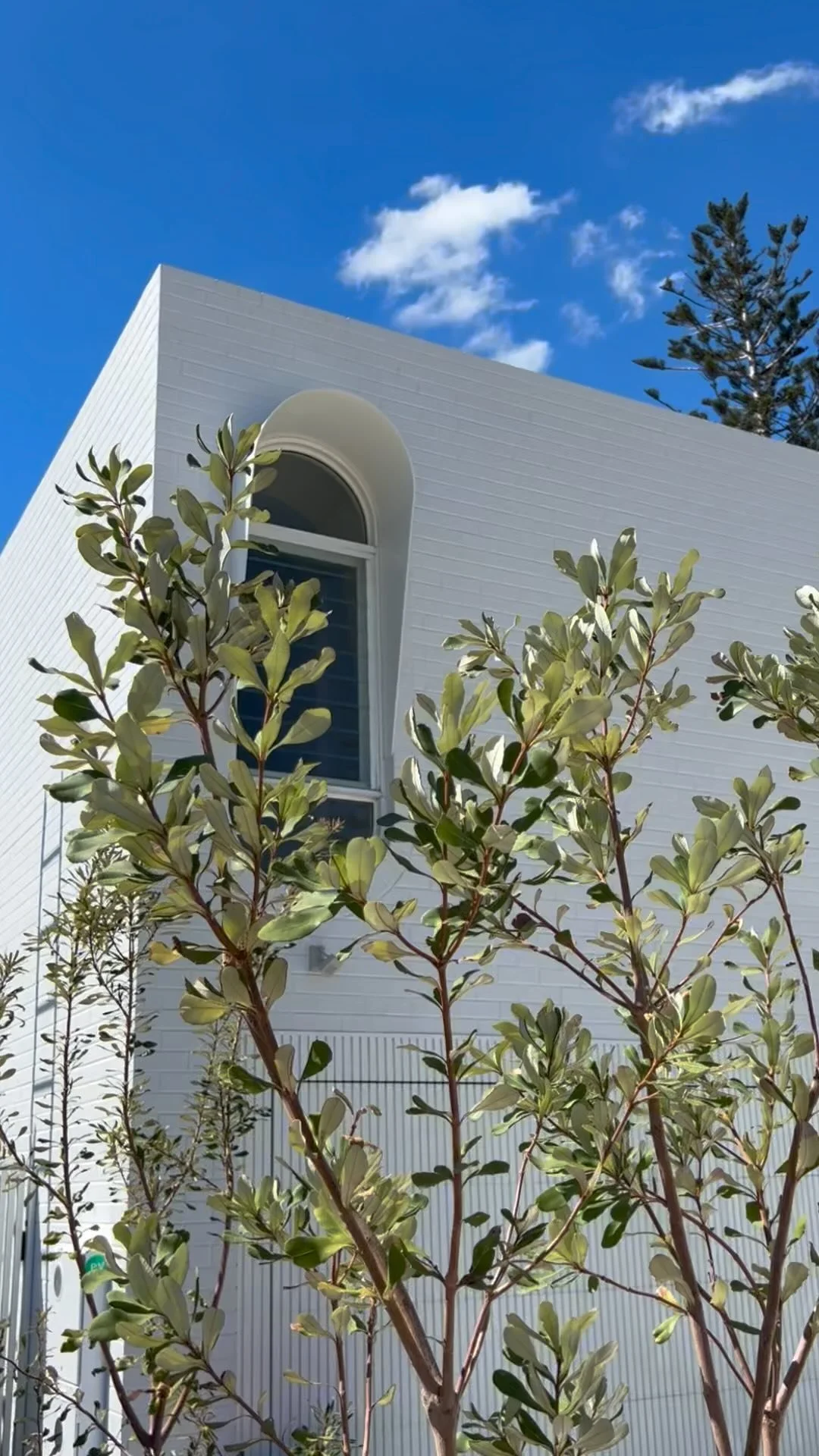 Bonnie Stacey Landscapes