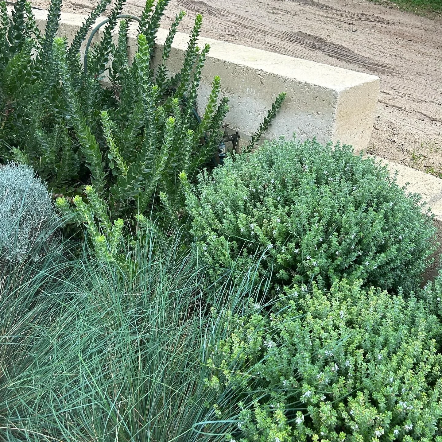 Bonnie Stacey Landscapes