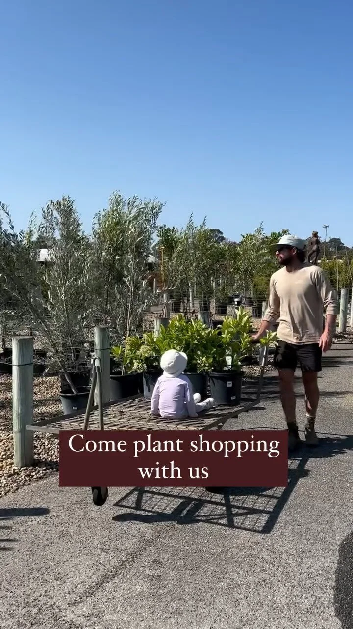 Bonnie Stacey Landscapes