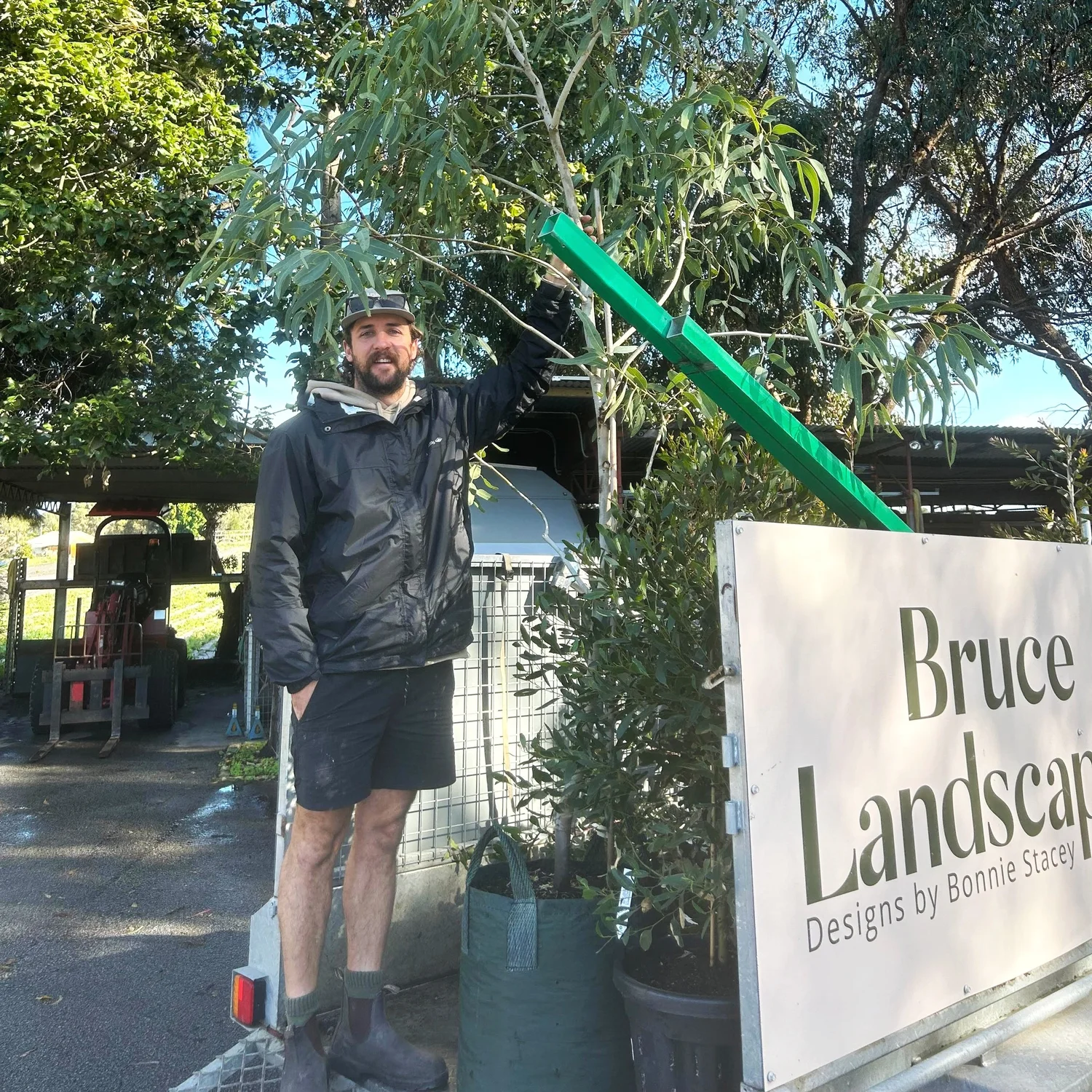 Bonnie Stacey Landscapes