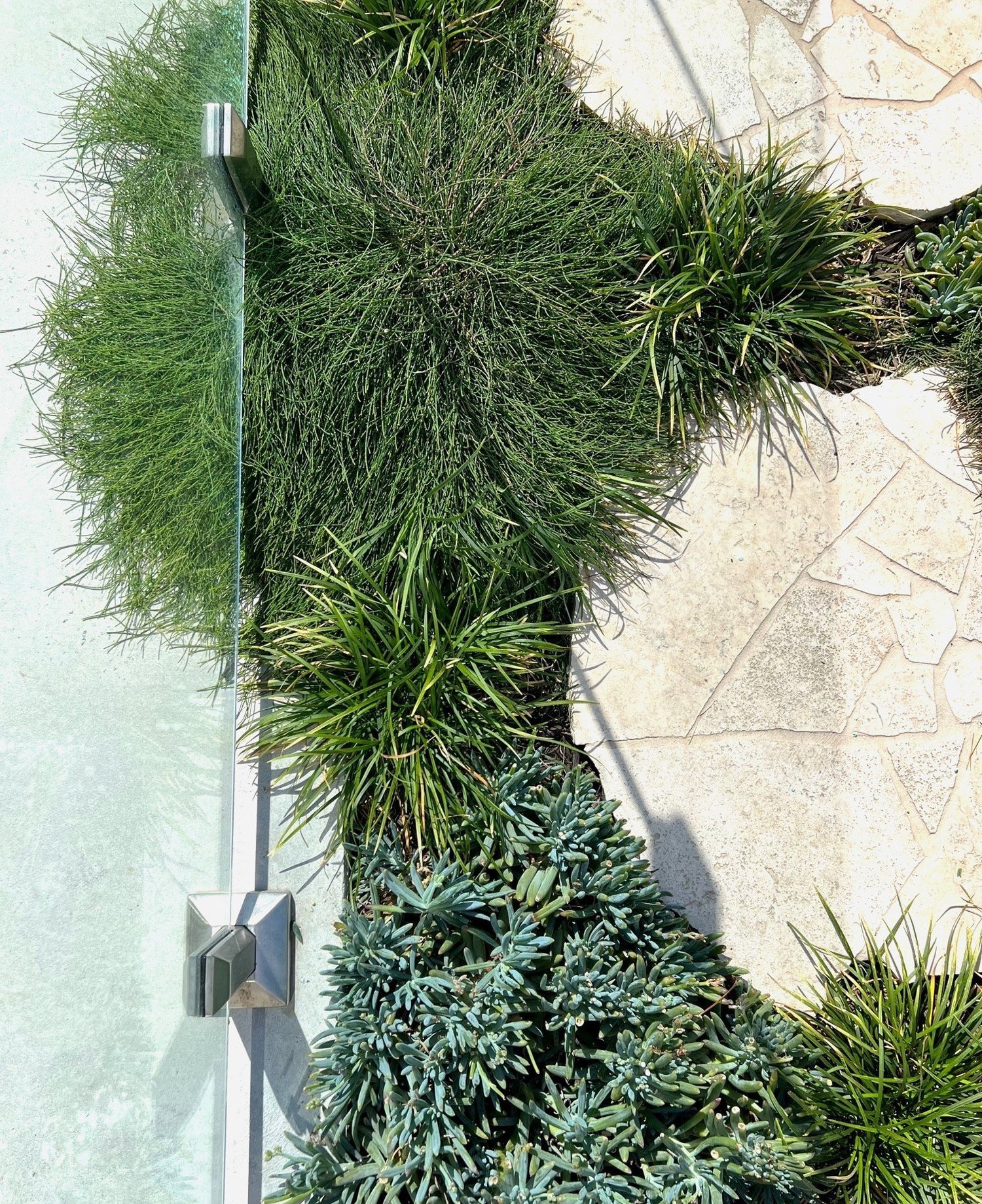 GALLERY — Bonnie Stacey Landscapes