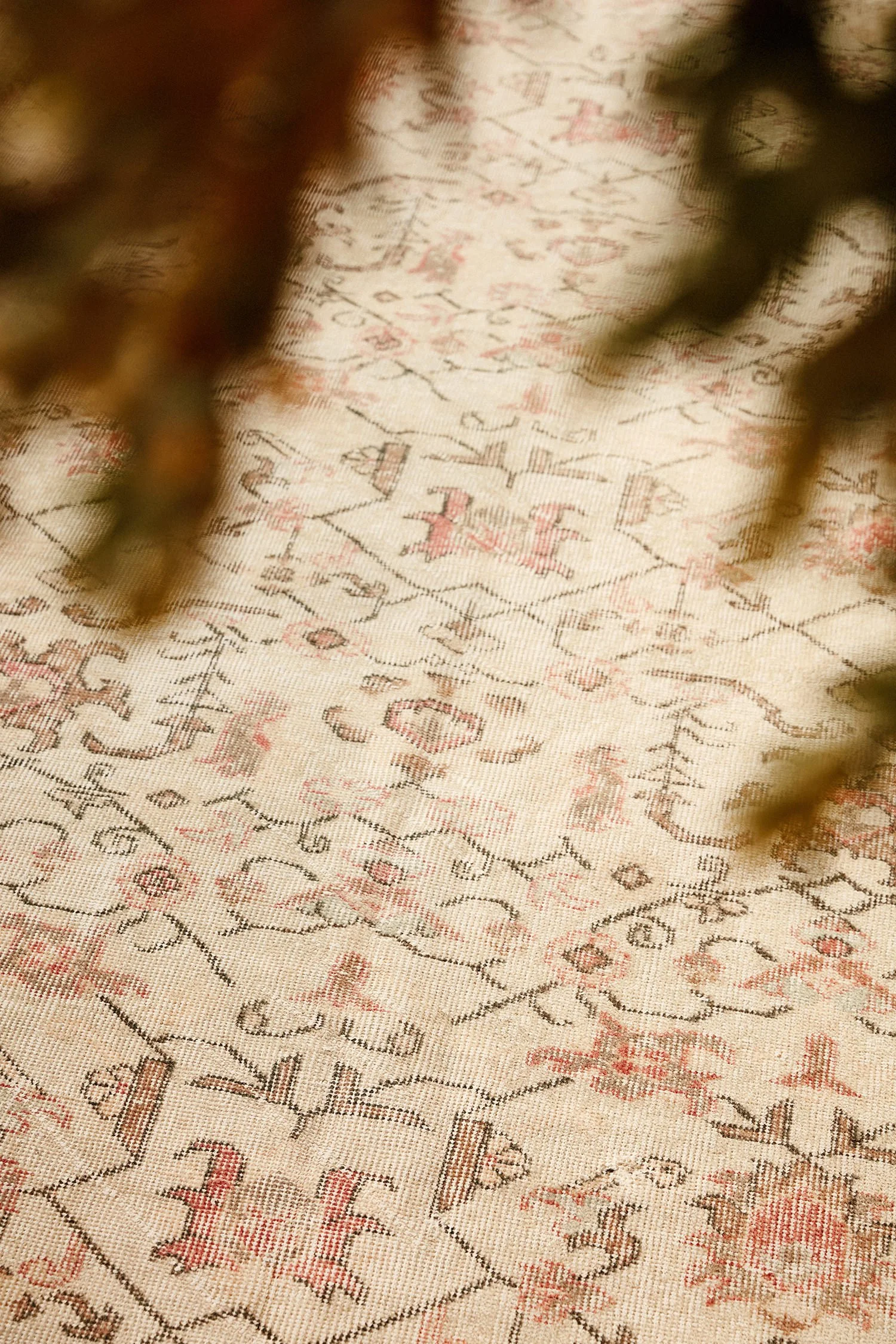 Daliso - 3'8" x 6'7" — Merak Rugs