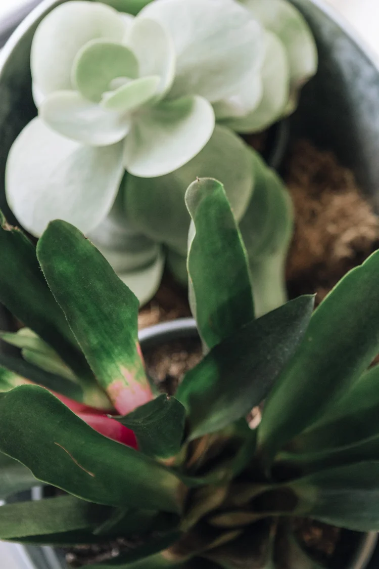 Studio Sage - a bespoke salon and head spa in Jacksonville Beach, FL