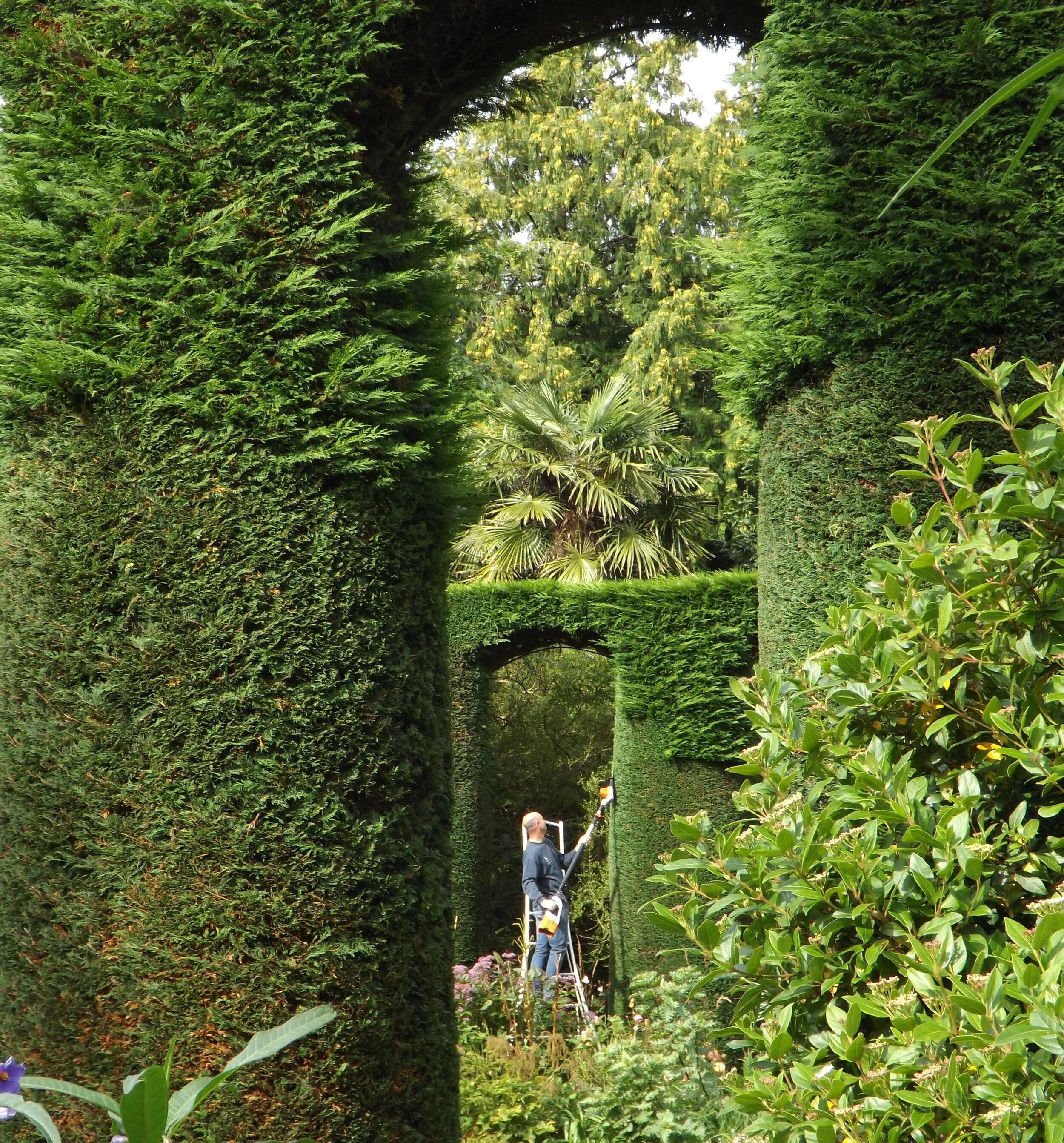 Improving knowledge of gardening and plants — Neil Porteous Gardens