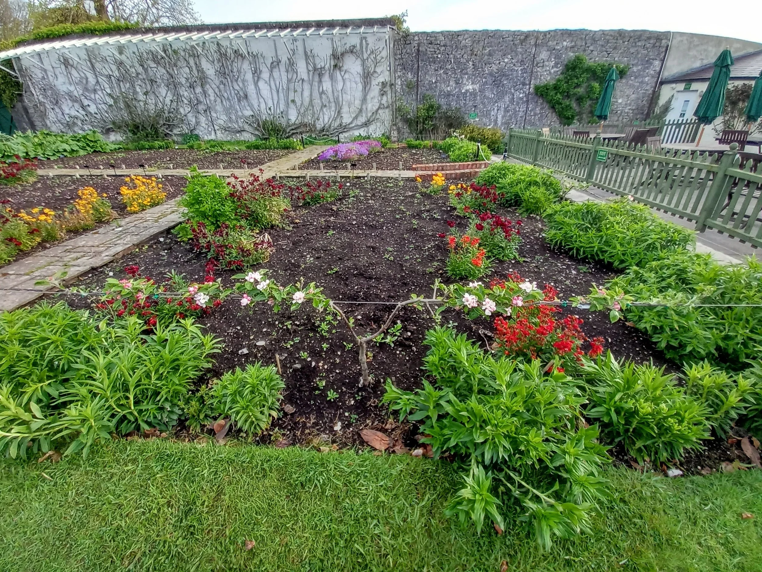 Loving your June garden — Neil Porteous Gardens