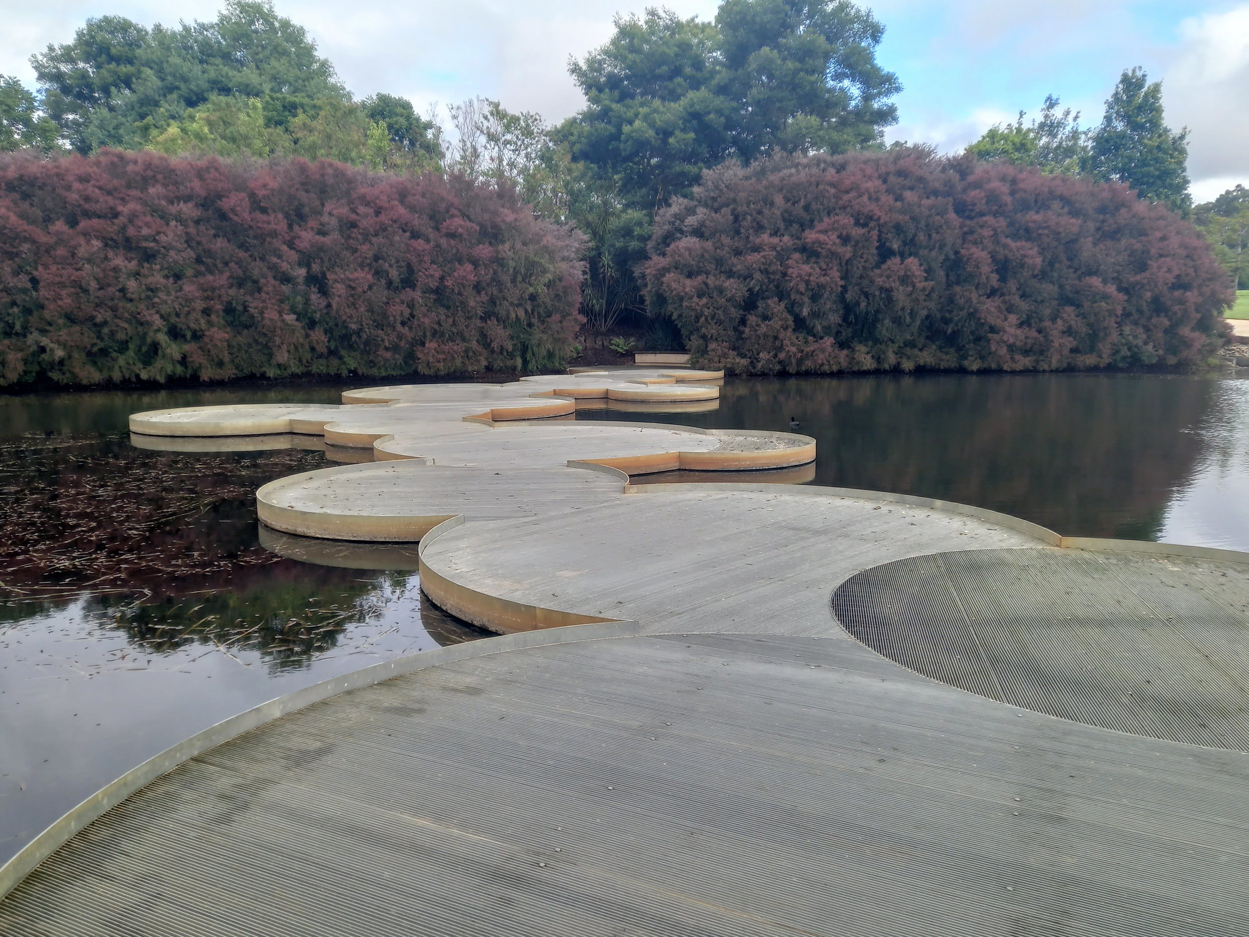 Loving March plants down under! — Neil Porteous Gardens