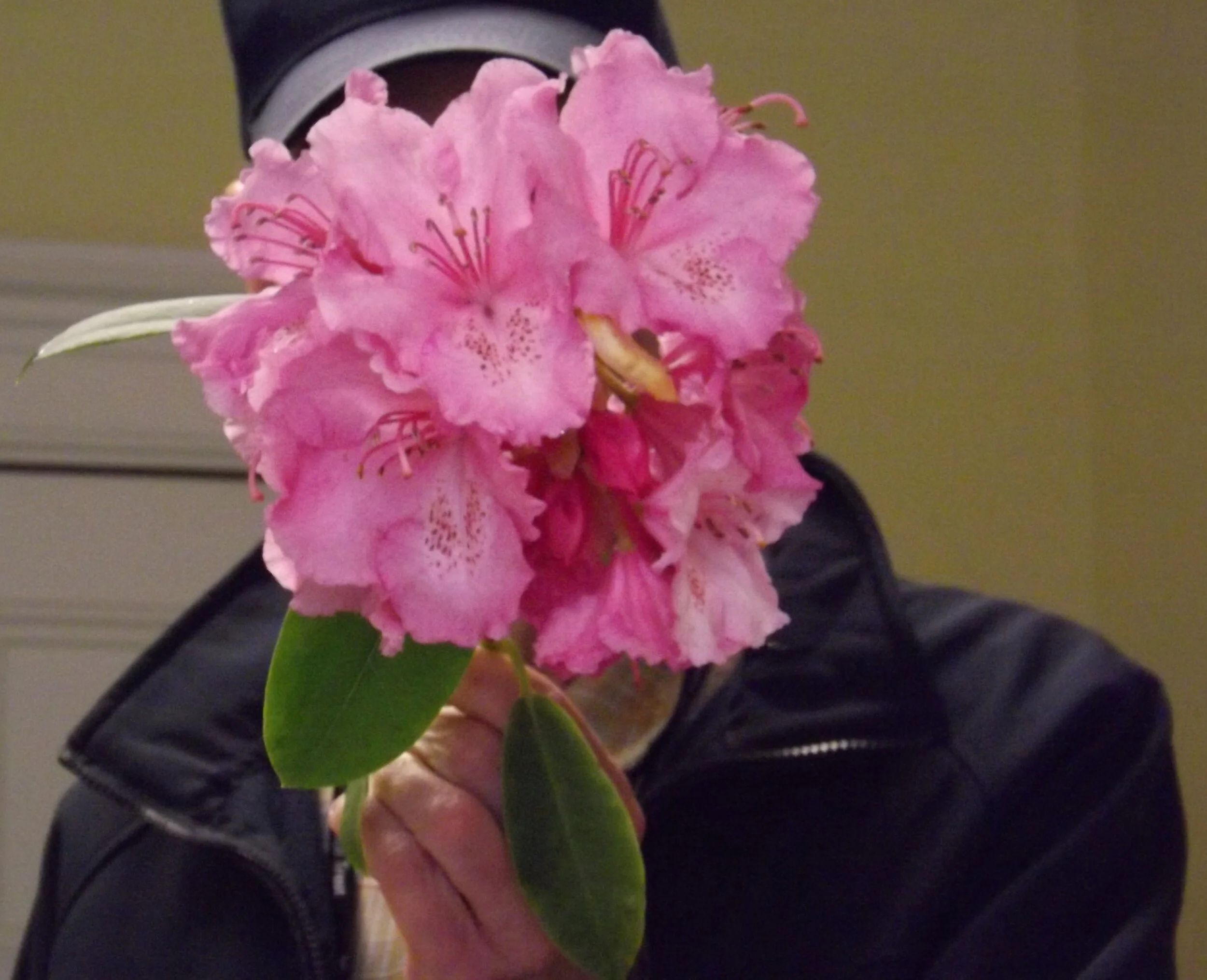 Improving knowledge of gardening and plants — Neil Porteous Gardens