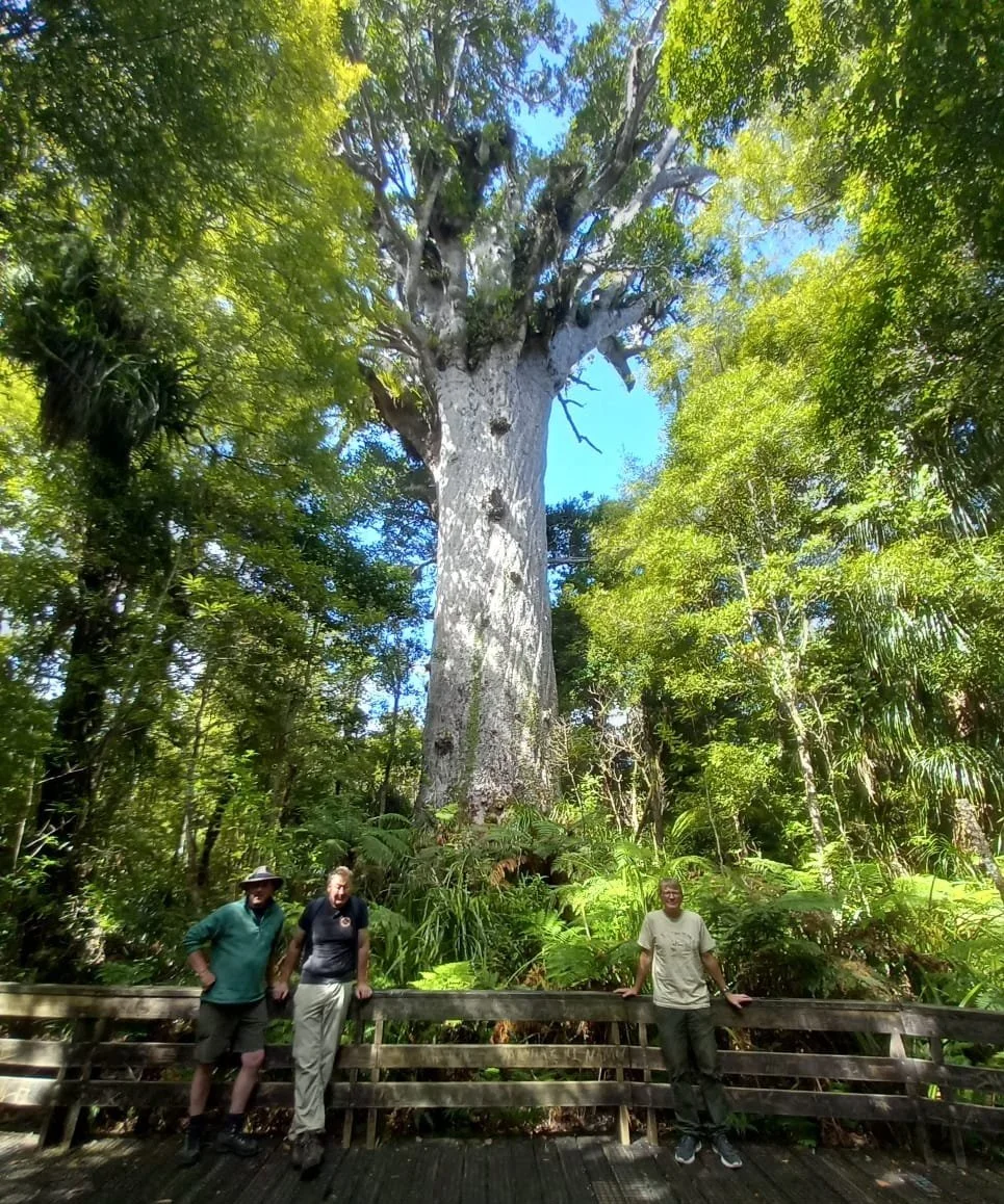 April news from New Zealand — Neil Porteous Gardens