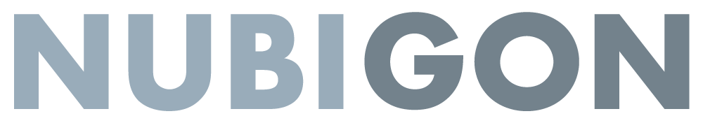 Nubigon Point Cloud Visualization Software