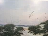 Seaside Arts Council