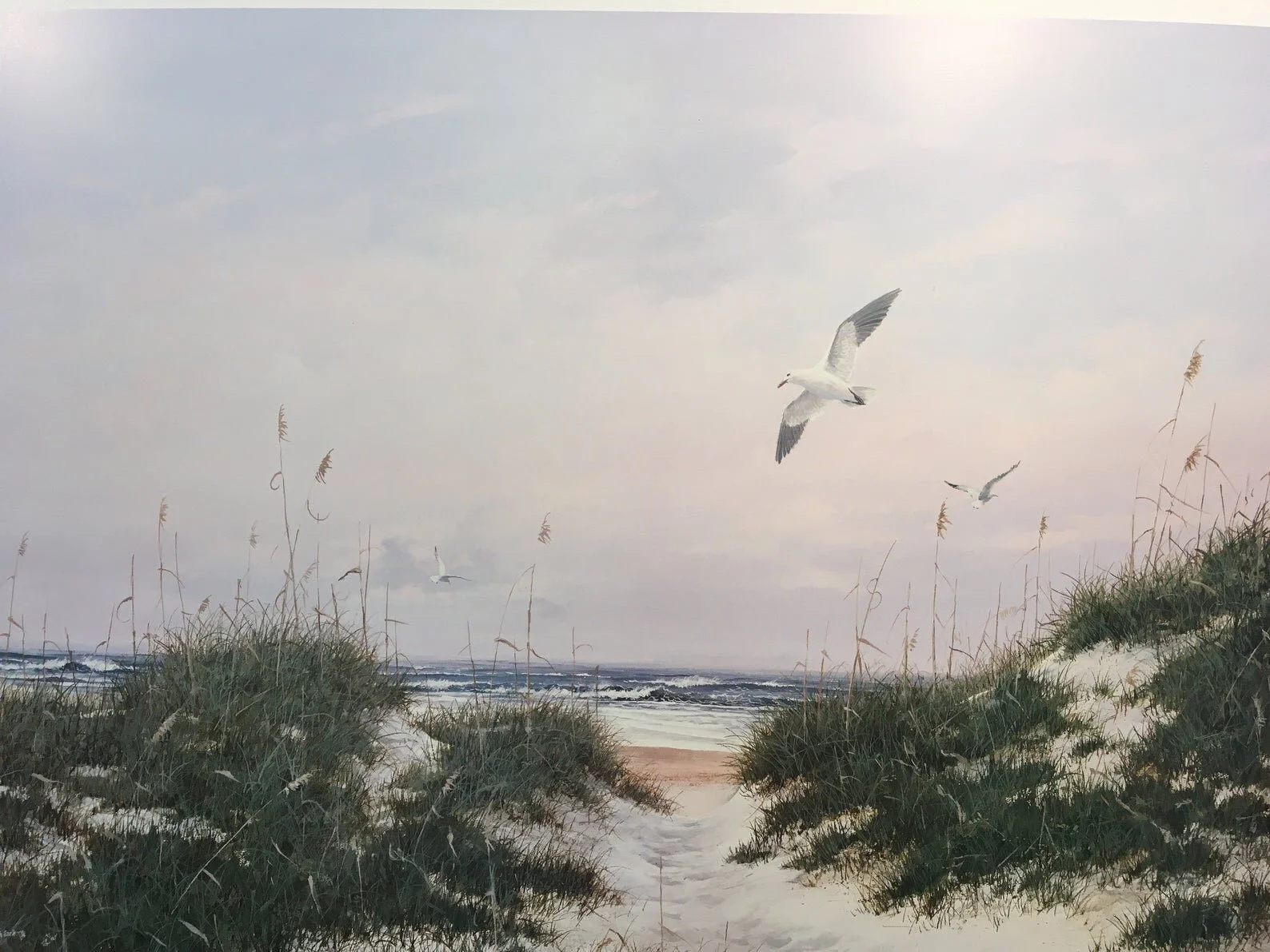 Seaside Arts Council
