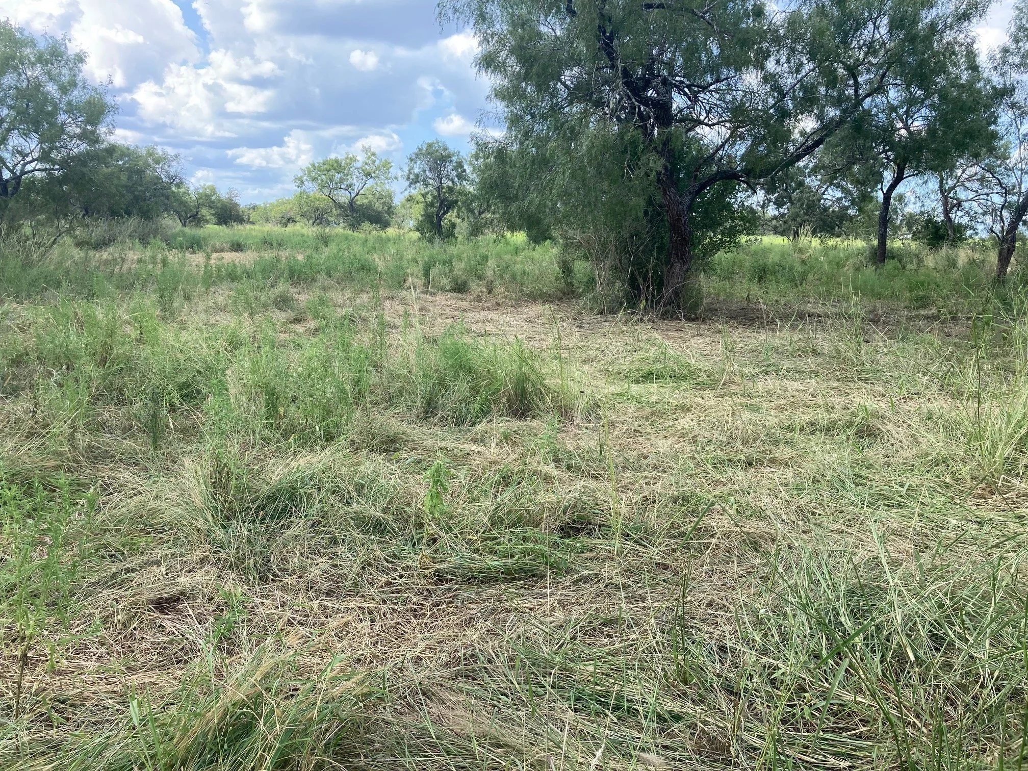 Scale is needed to impact greater ecosystem function — Grazing Lands